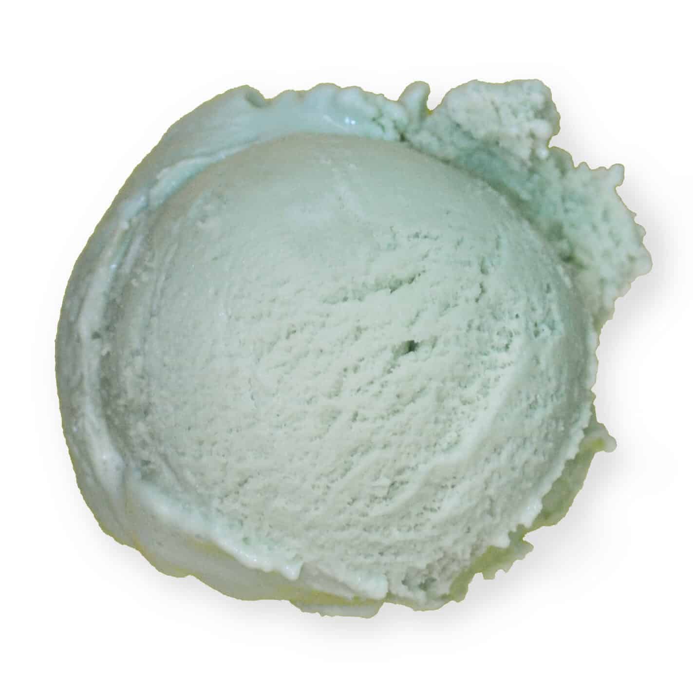 Matcha Green Tea – Chocolate Shoppe Ice Cream