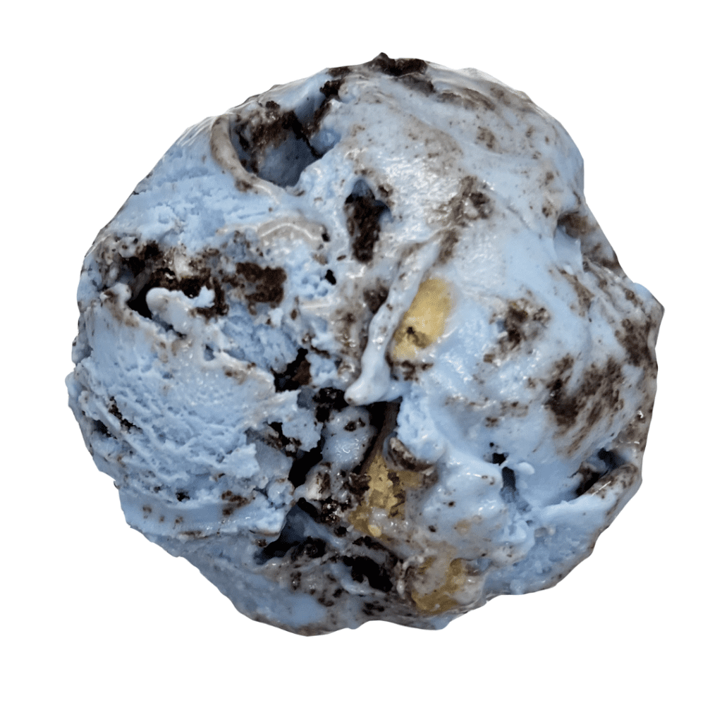 Me Want Cookie – Chocolate Shoppe Ice Cream