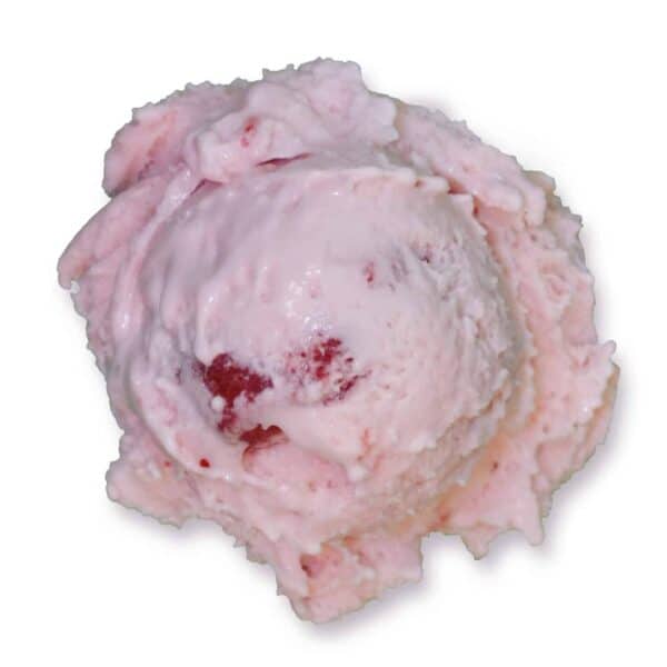 Strawberry – Chocolate Shoppe Ice Cream